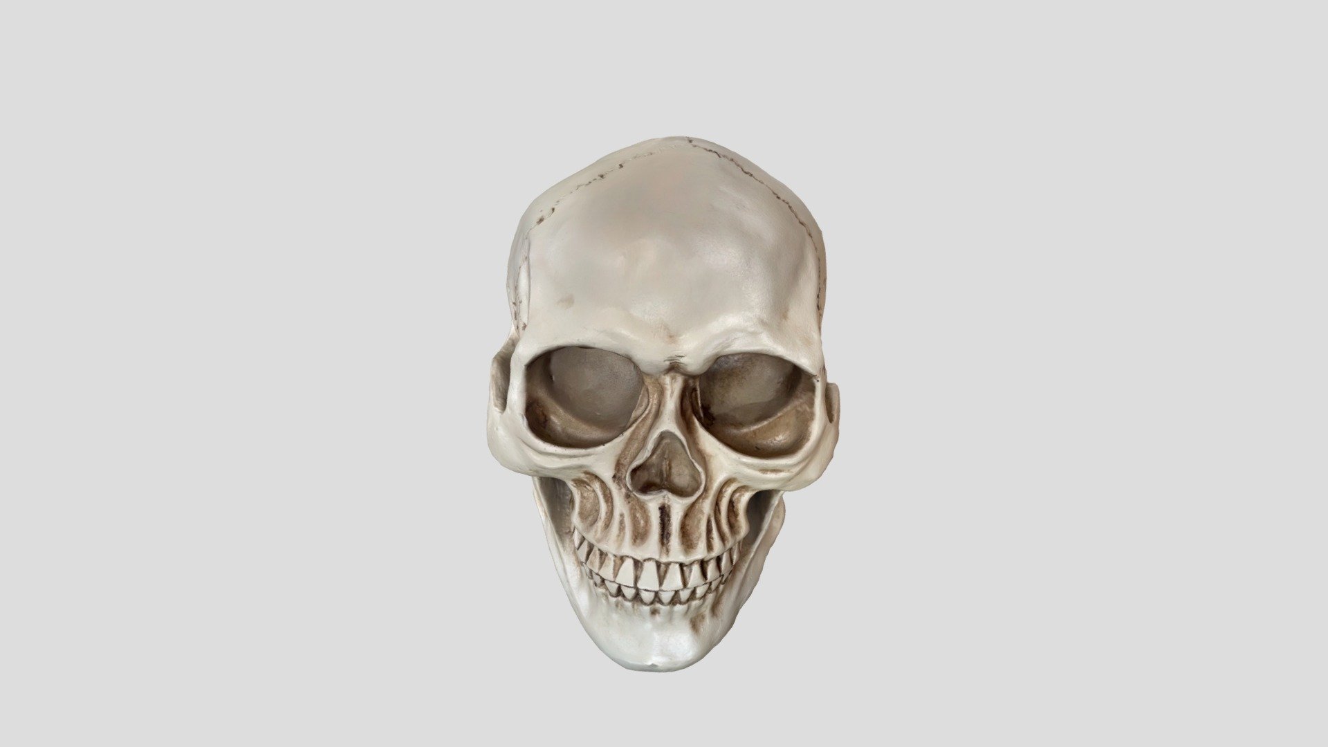 Human Skull Model - Download Free 3D model by meshmashuk [4ae9884 ...