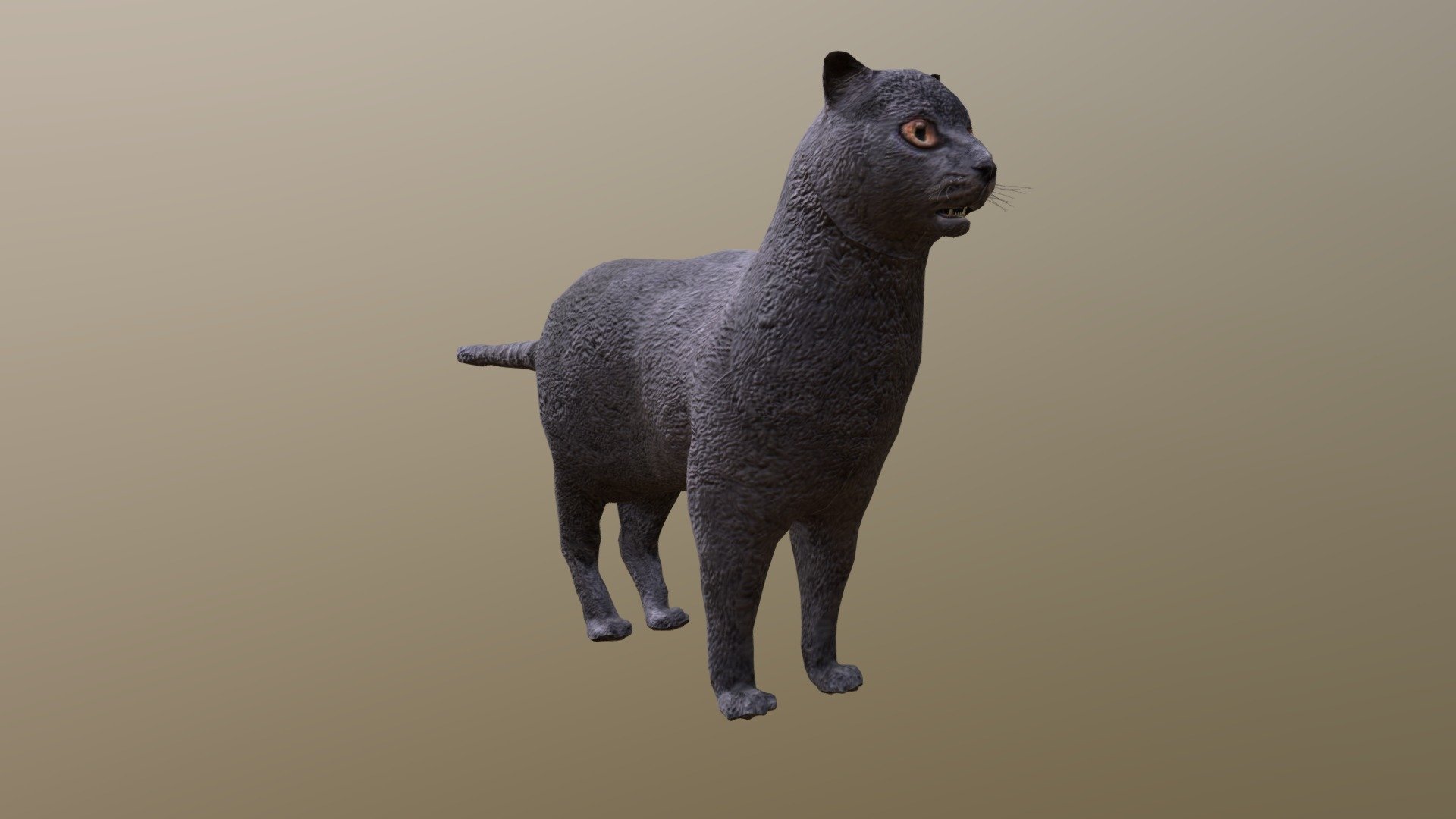 Cat - Buy Royalty Free 3D model by 3dlowpoly [4aeff0c] - Sketchfab Store