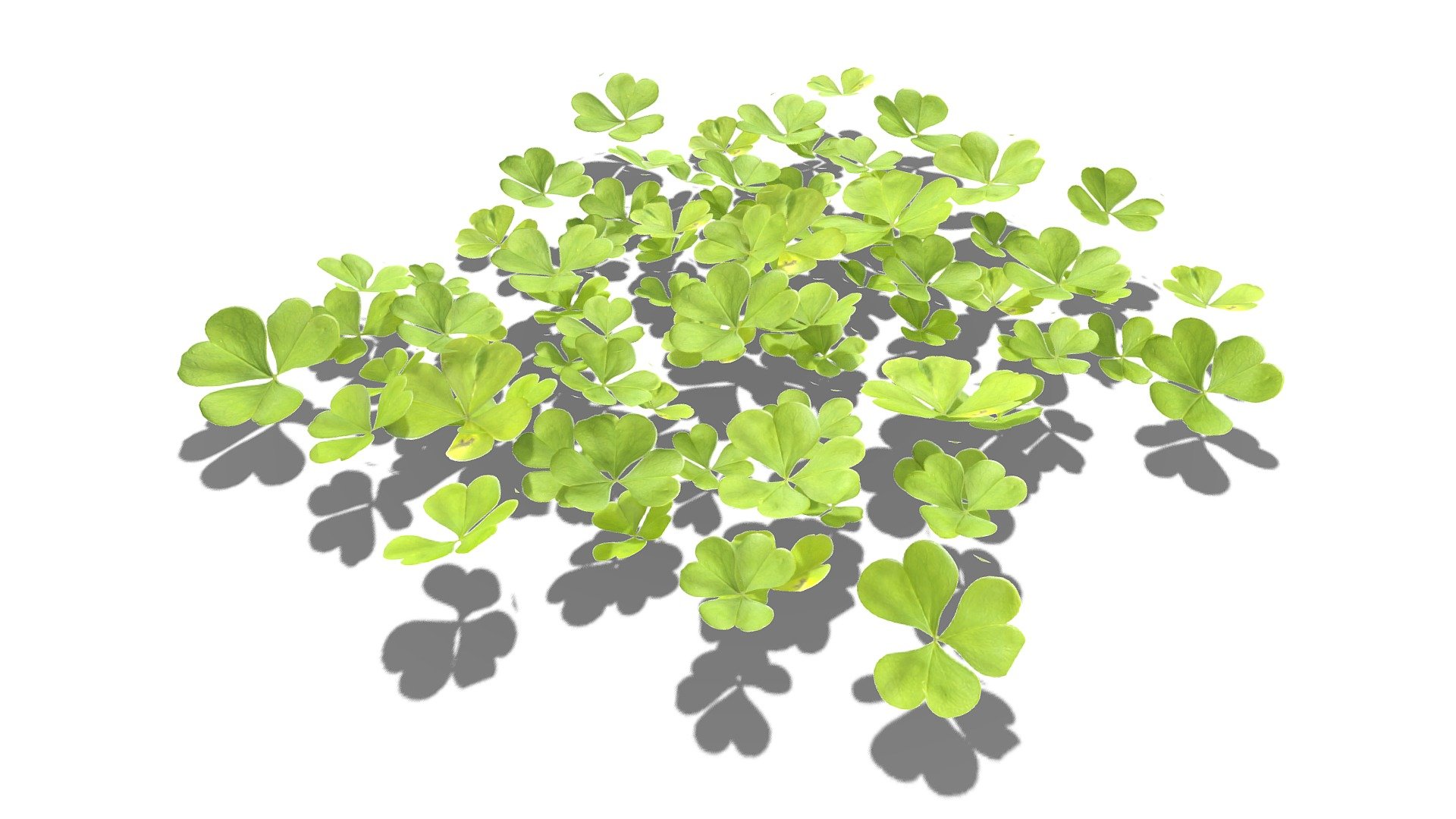 Clovers - Plant / Foliage - Buy Royalty Free 3D model by Studio Lab ...