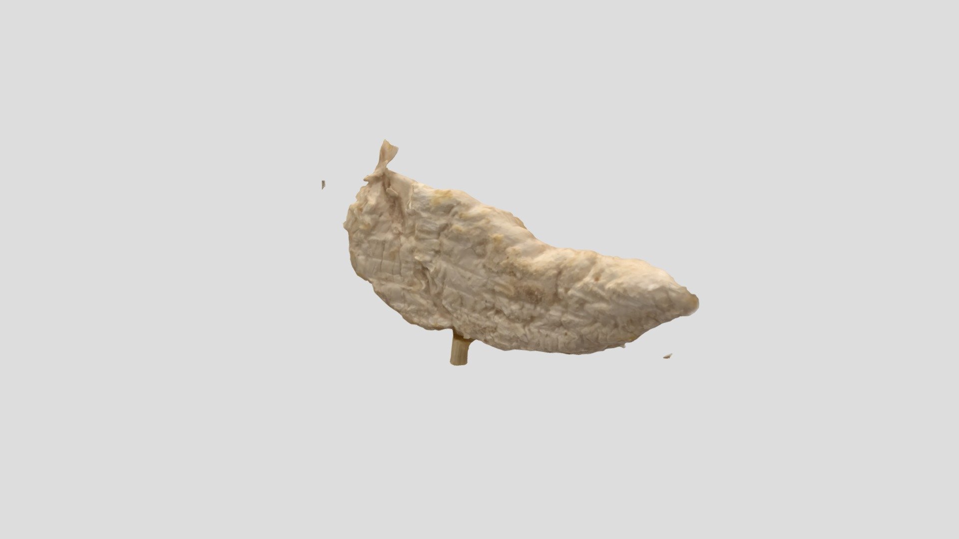 Scan 2023-05-22T05:48:07.158Z - Download Free 3D model by zhaoyiyiyiyi ... Scan 2023-05-22T05:48:07.158Z - Download Free 3D model by zhaoyiyiyiyi ...