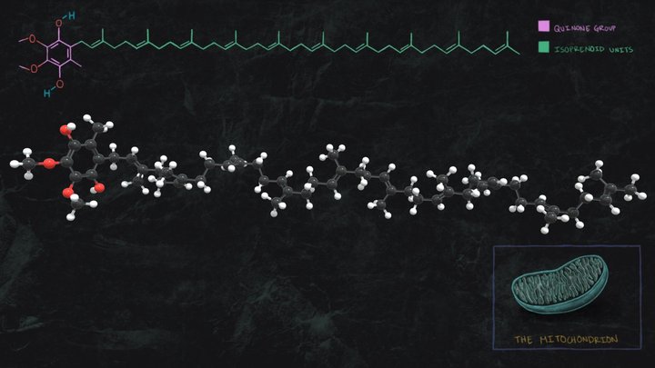 Biochemistry 3D models - Sketchfab