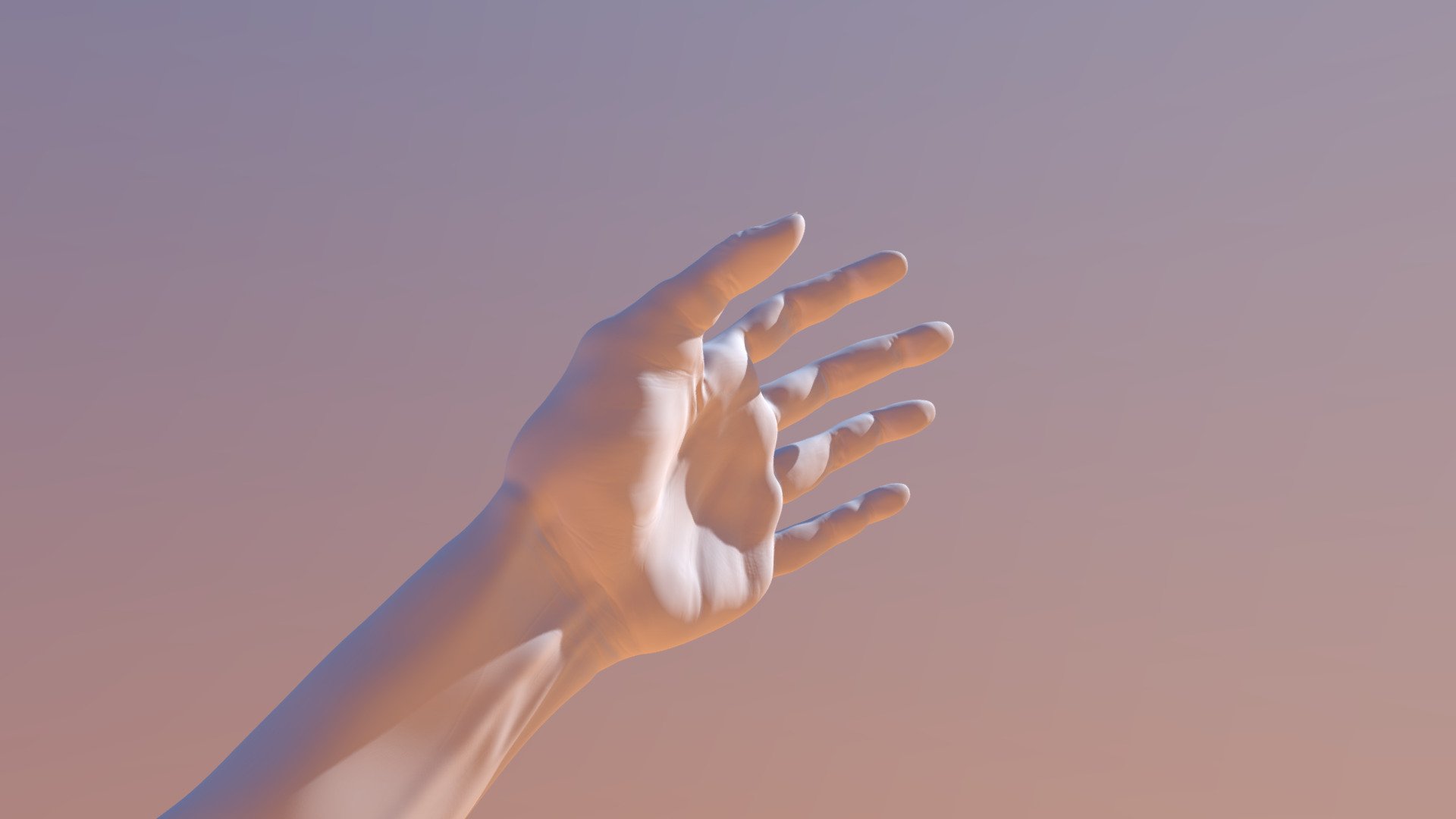 Hand Model - Download Free 3D model by juliengriffith [4afceb5] - Sketchfab