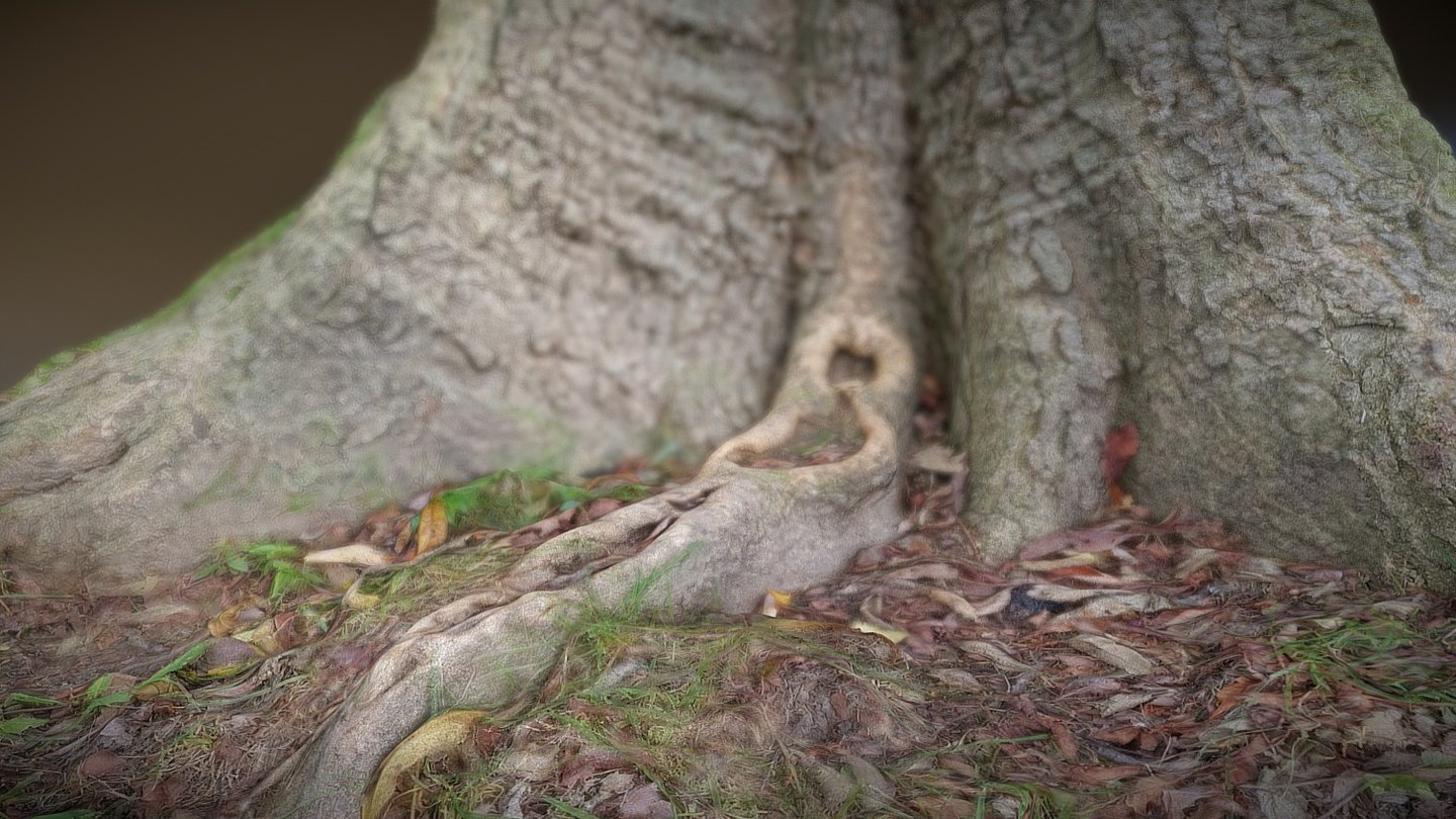 huge vein - Download Free 3D model by majedhd [4b0fe99] - Sketchfab