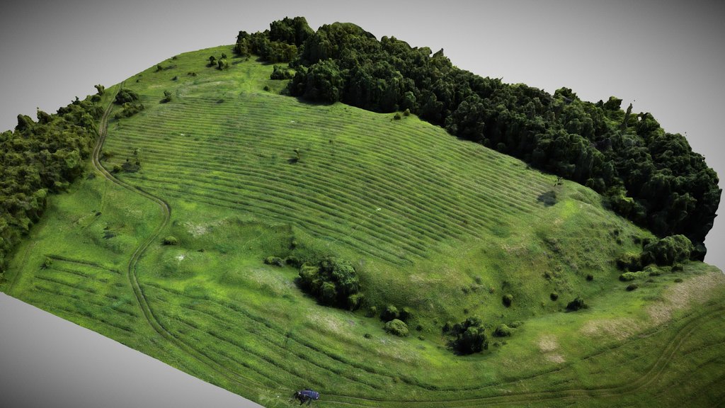 treeline - A 3D model collection by eelhor - Sketchfab