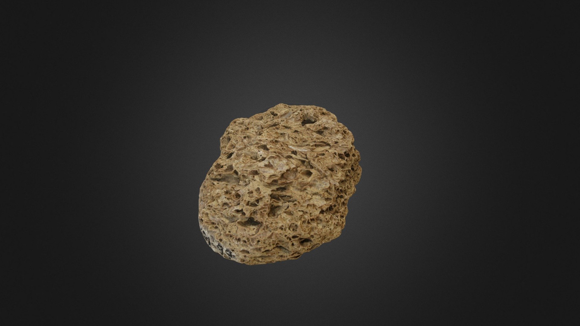 CALCARIOUS TUFA - 3D model by University of Lethbridge Library ...
