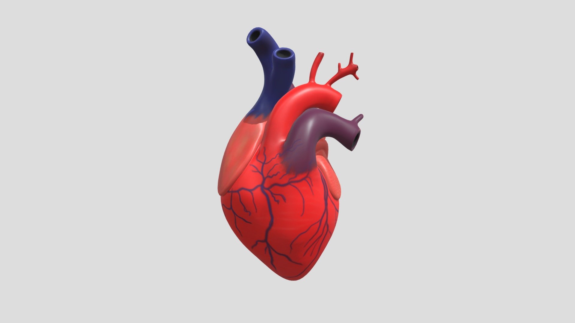 Heart - Day2 - 3D model by onyxialunaa [4b24f29] - Sketchfab