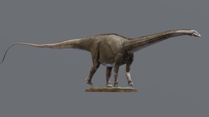 Sauropod 3D models - Sketchfab