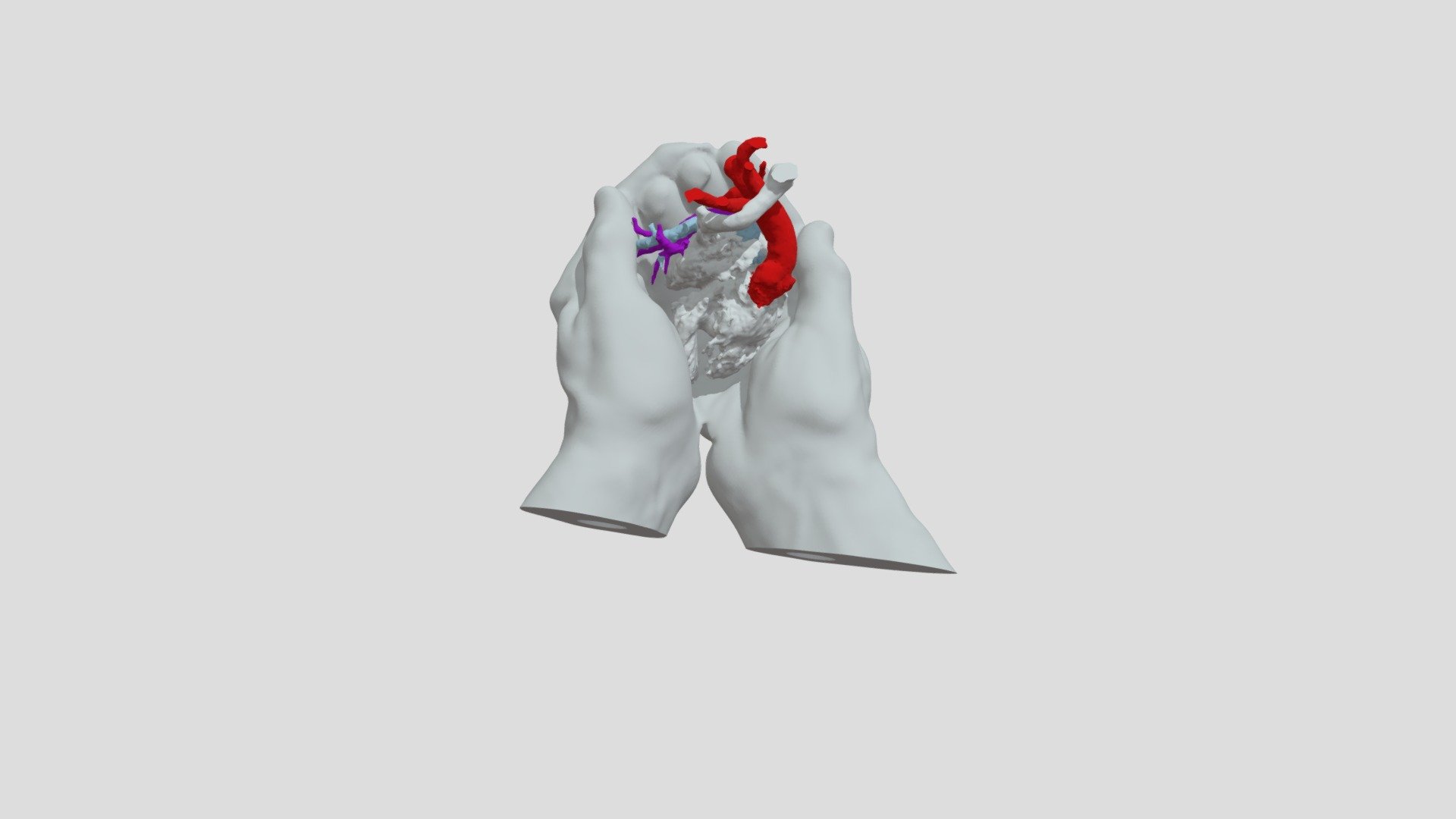 Heart Hands - 3D model by NCH Advanced Projects Laboratory (APL ...
