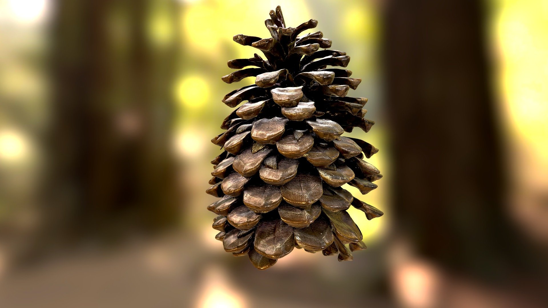 Large Pinecone 2 - Buy Royalty Free 3D model by MADD Designs (@TDModel) [4b302f8] - Sketchfab Store