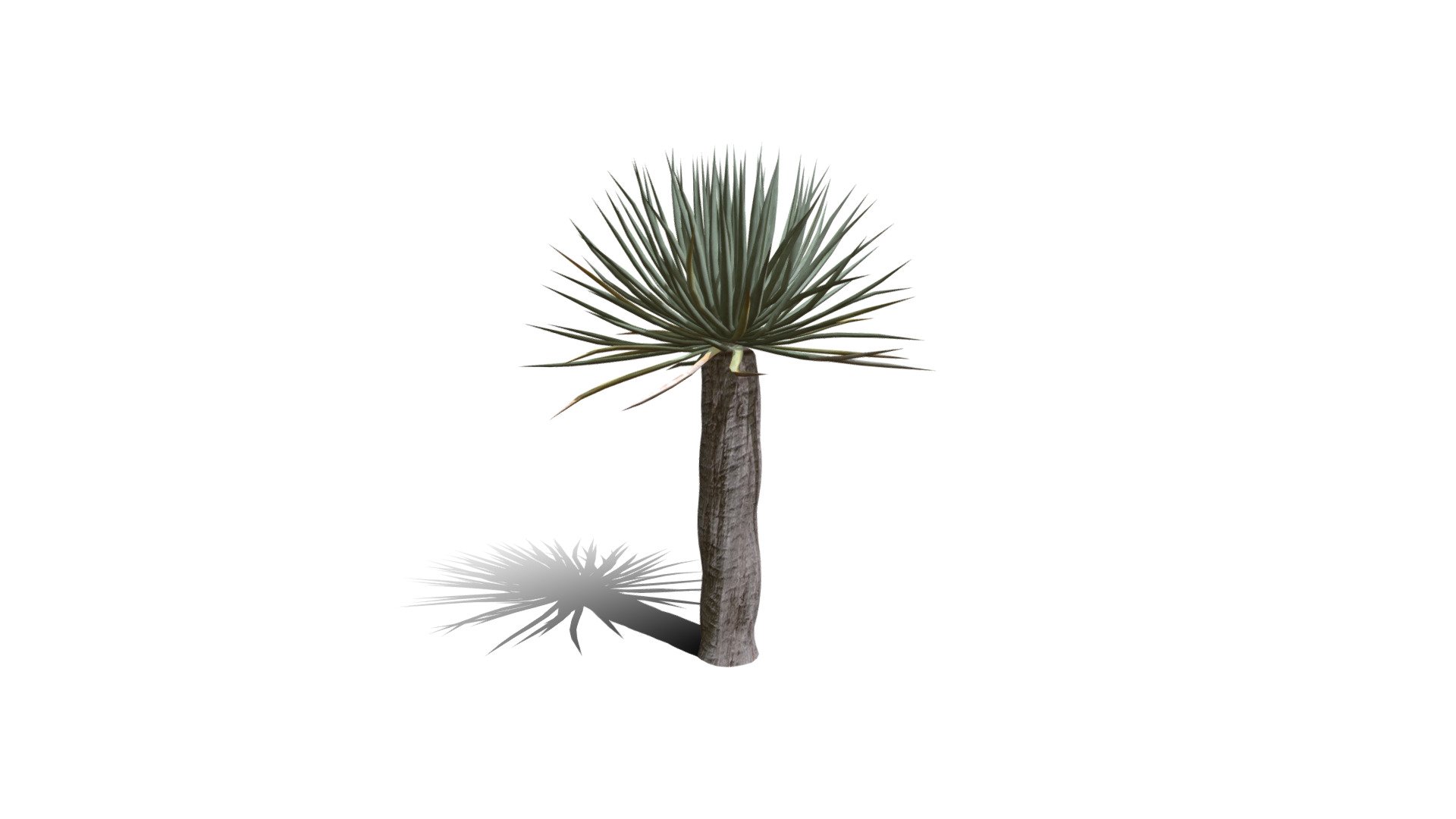 Realistic HD Dragon tree (16/50) - Buy Royalty Free 3D model by ...