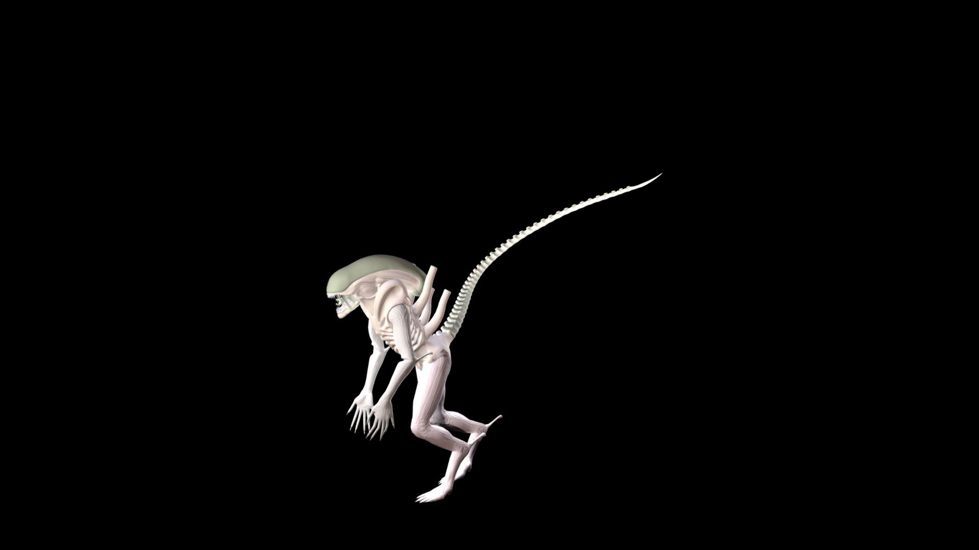 Xenomorph - Download Free 3D model by gtavmaniak174 [4b379db] - Sketchfab