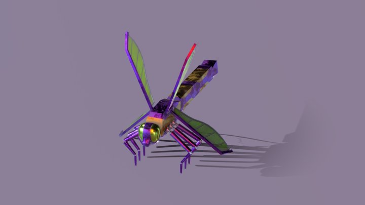 Insects 3D models - Sketchfab