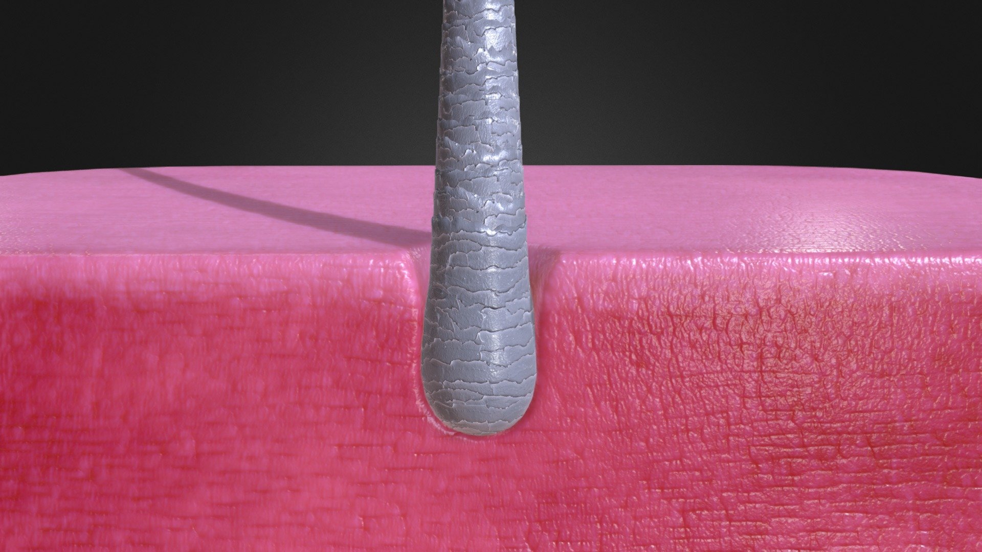 Hair Microscope Style 3d Model By Leandro Salerno Leansaler [4b479a1] Sketchfab