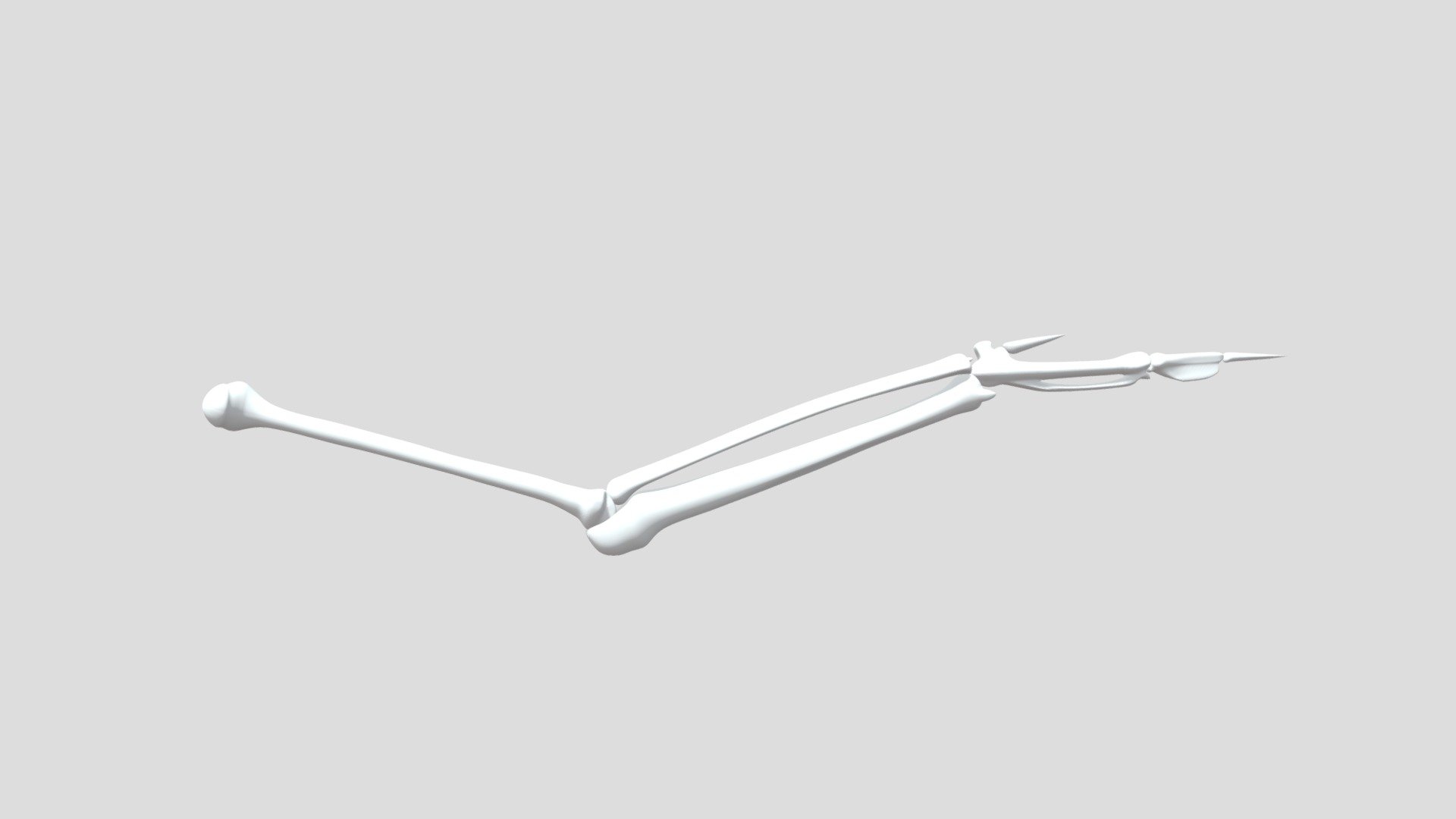 Updated Wing Skeleton - 3D model by ZircronSwift [4b488aa] - Sketchfab