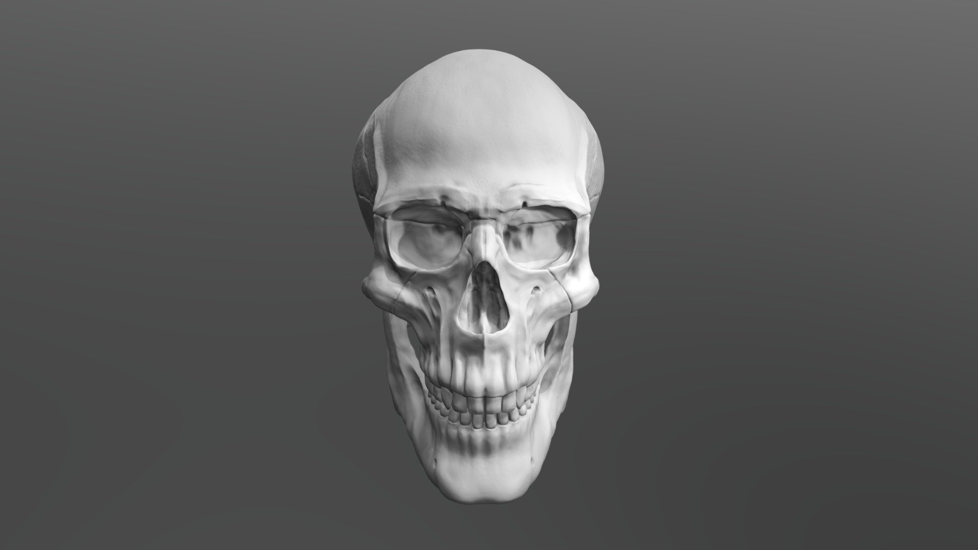 Human Skull - 3D model by Máté Szelle (@N3ON_47) [4b52565] - Sketchfab