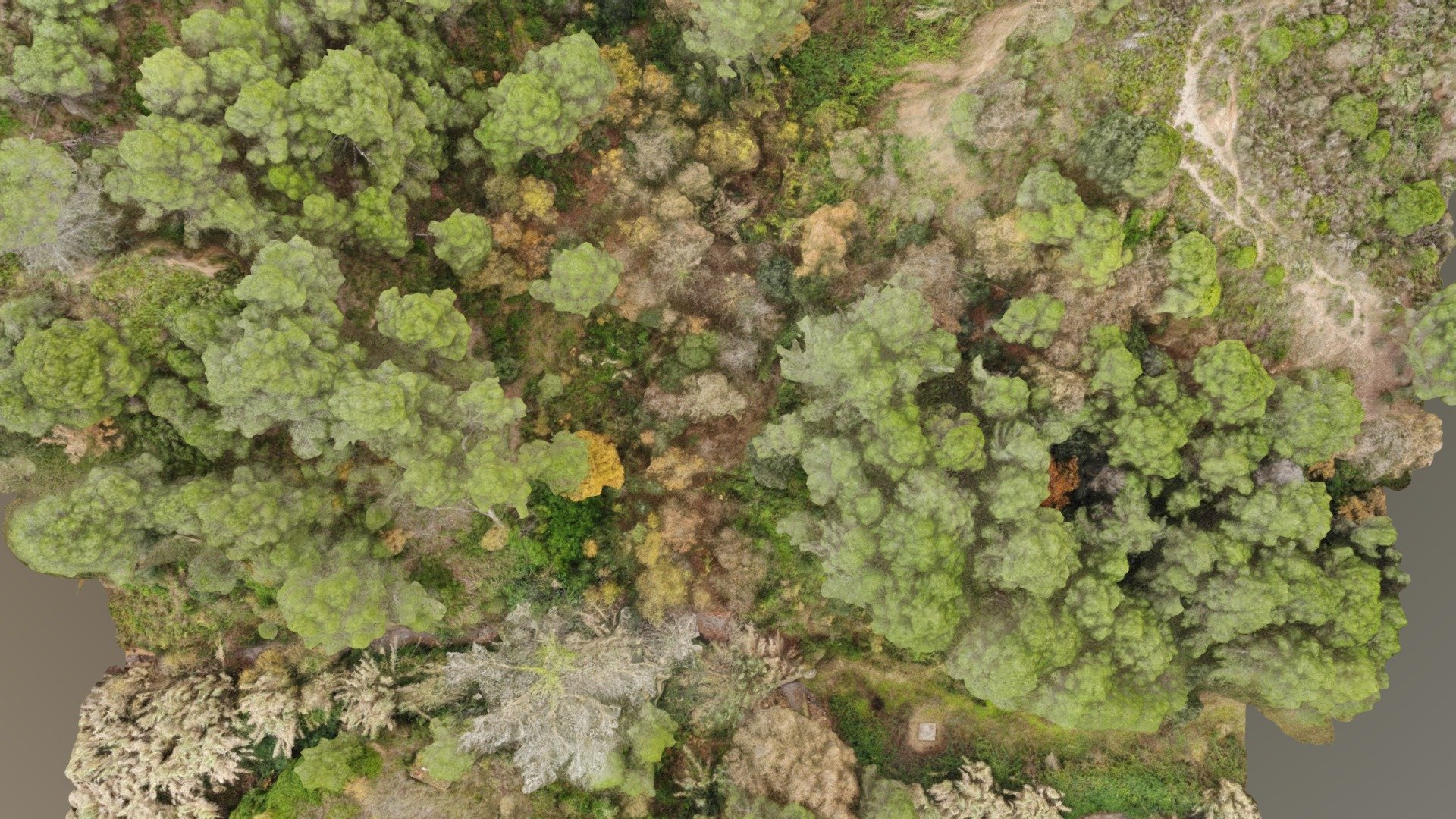 Bosc de pins i caducifolis a Piera - 3D model by Alerta Forestal ...
