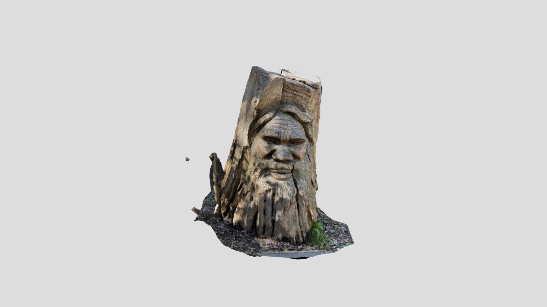 Tree carving - Download Free 3D model by PHORIA XR STUDIO (@scann3d ...