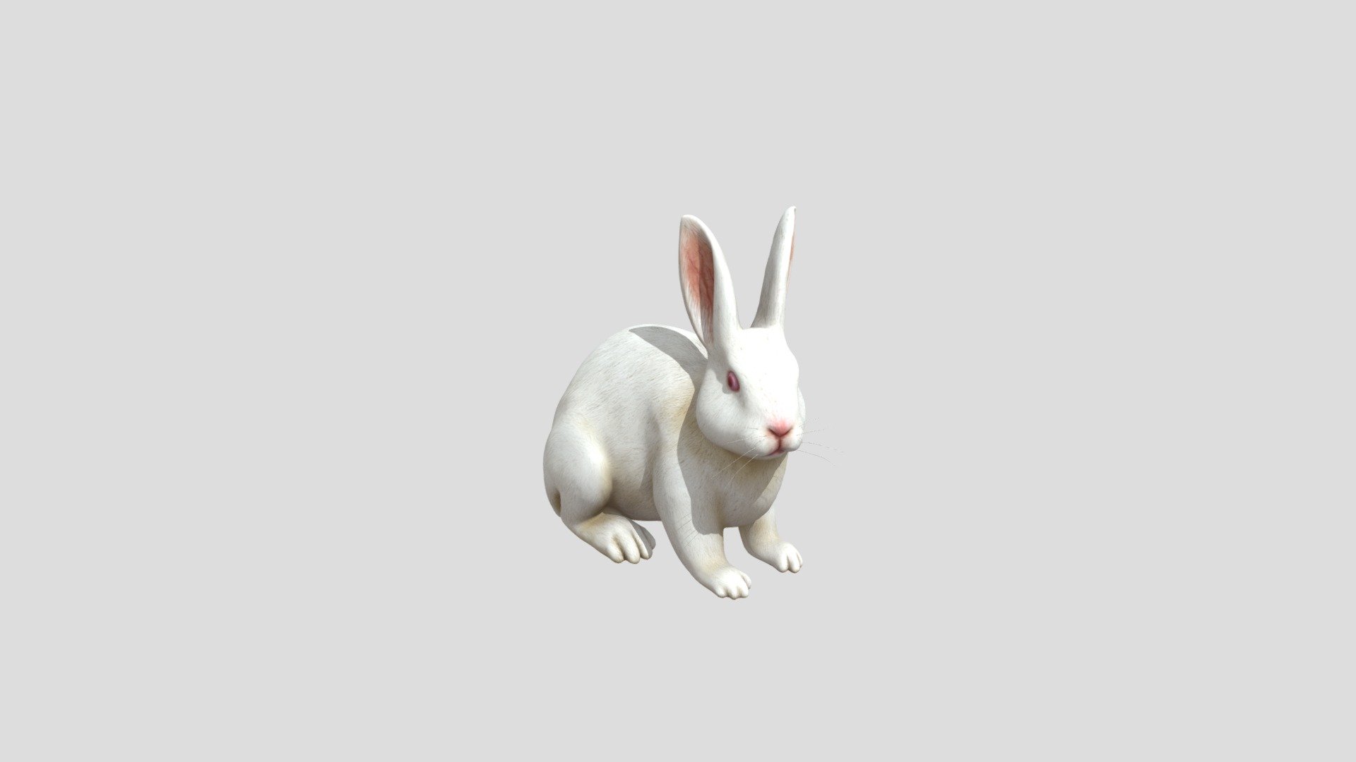 KElINCI - 3D model by maghfur (@mcstv) [4b6a06e] - Sketchfab