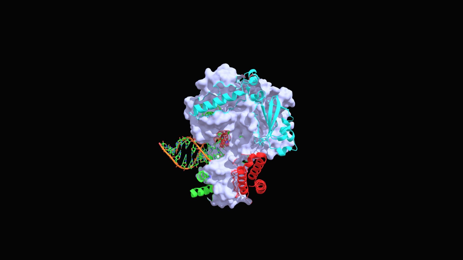 Remdesivir and RNA-Dependant RNA Polymerase - 3D model by uditi ...