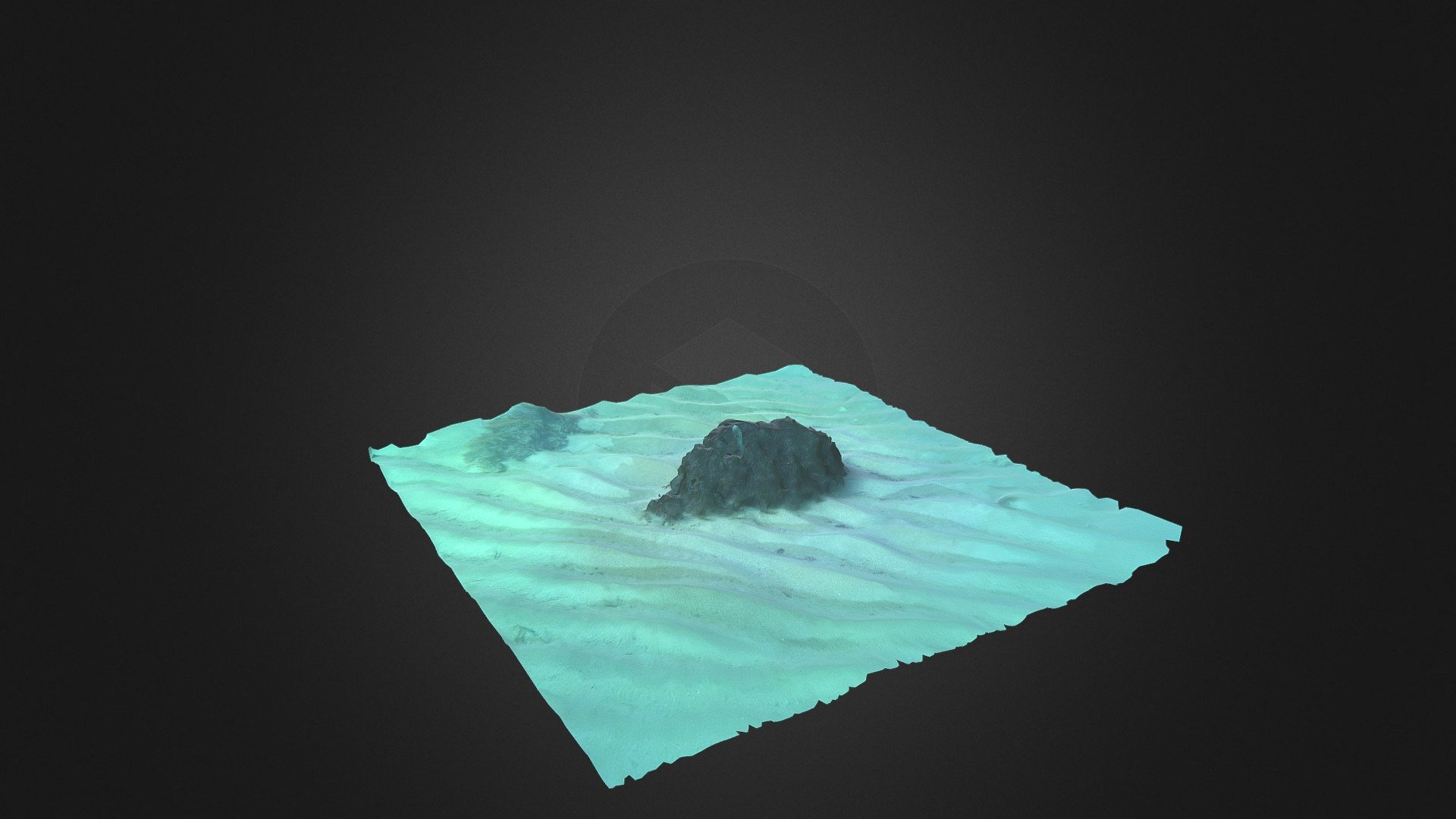 3D Patch of Posidonia oceanica - 3D model by Fer (@fergrc89) [4b7b95a ...