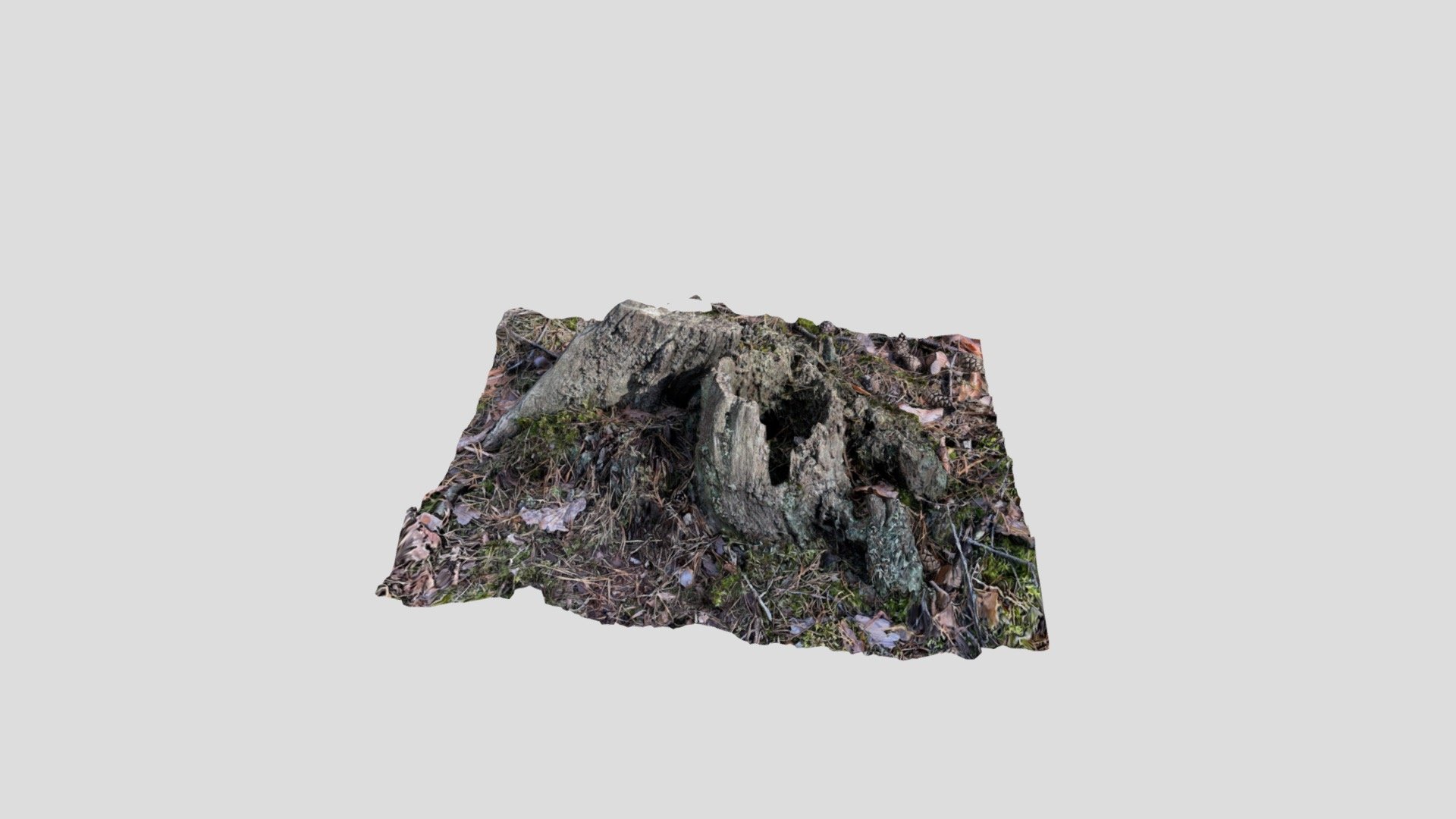 Forest tree trunk - Download Free 3D model by Young_Elisha [4b7c451 ...