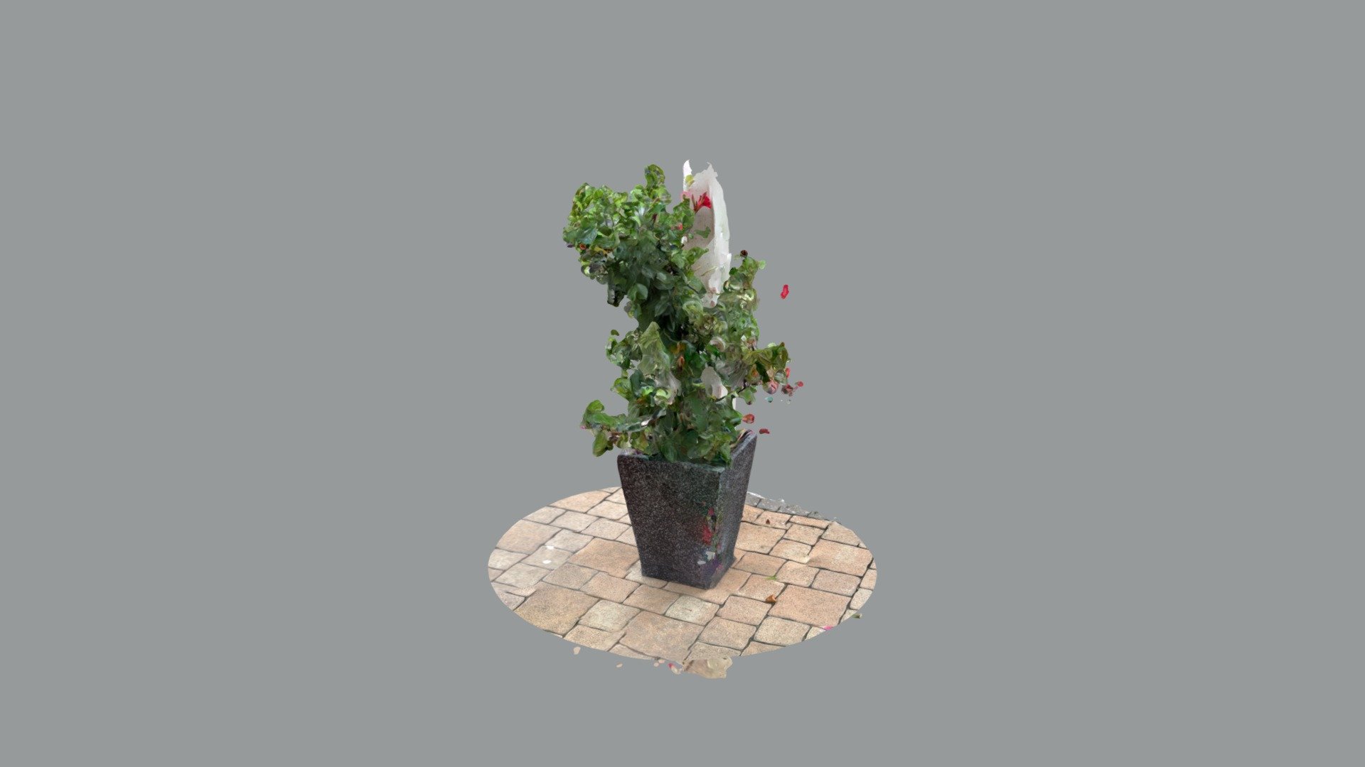 Blume - Download Free 3D model by Wolltan [4b7f323] - Sketchfab