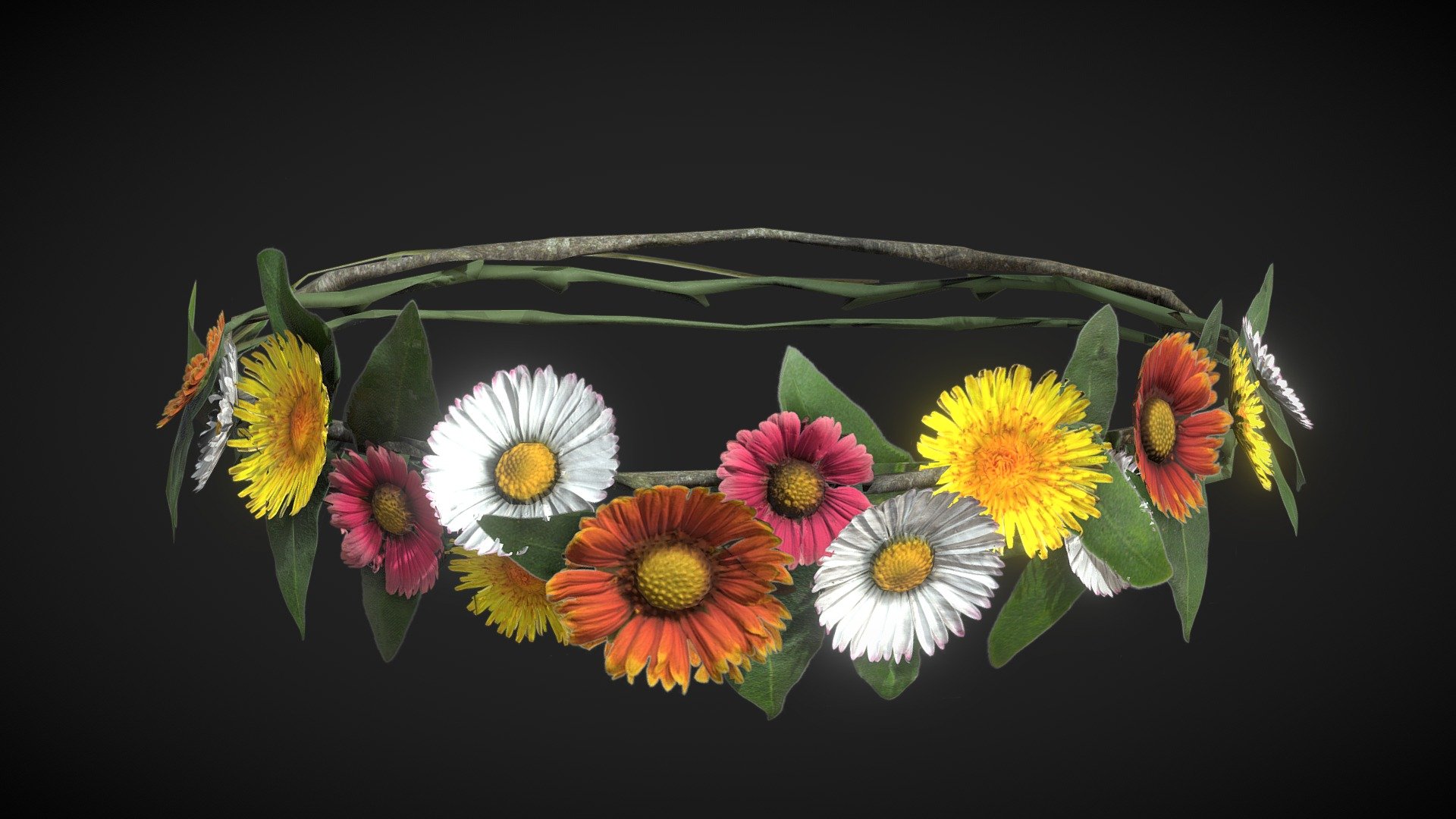 Gerbera Dandelion Daisy Flower Crown - low poly - Buy Royalty Free 3D ...