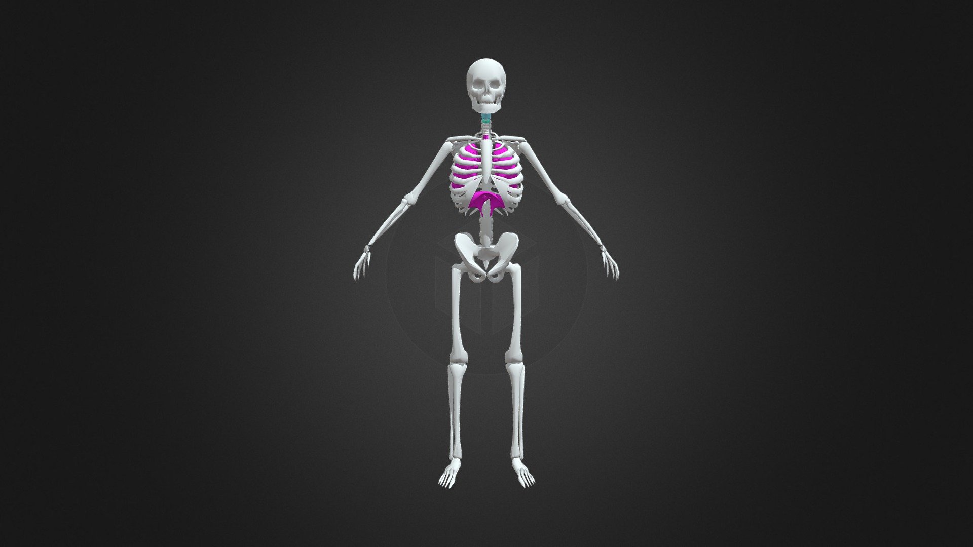 Project Name - 3D model by Inferno13 [4b81fc8] - Sketchfab