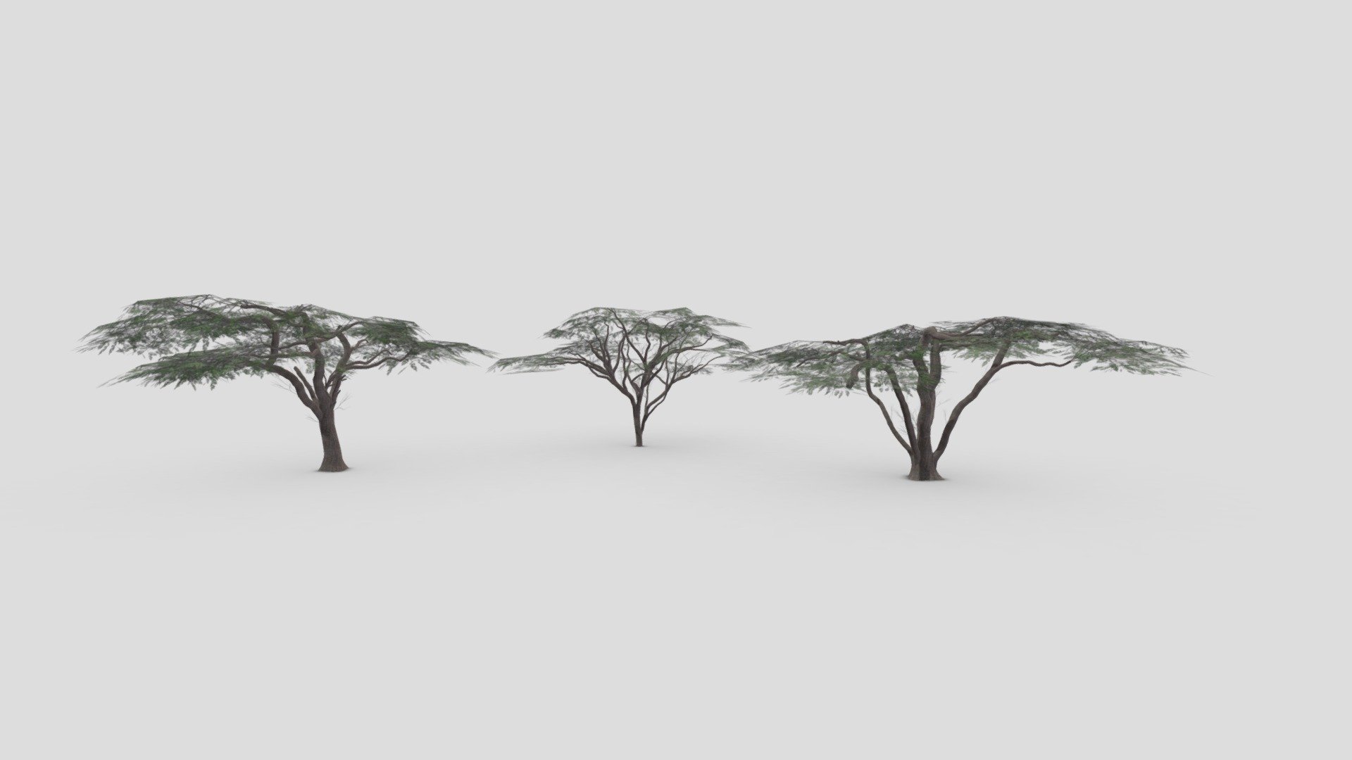 African Tree- Pack-05 - Buy Royalty Free 3D model by ASMA3D [4b849ff ...