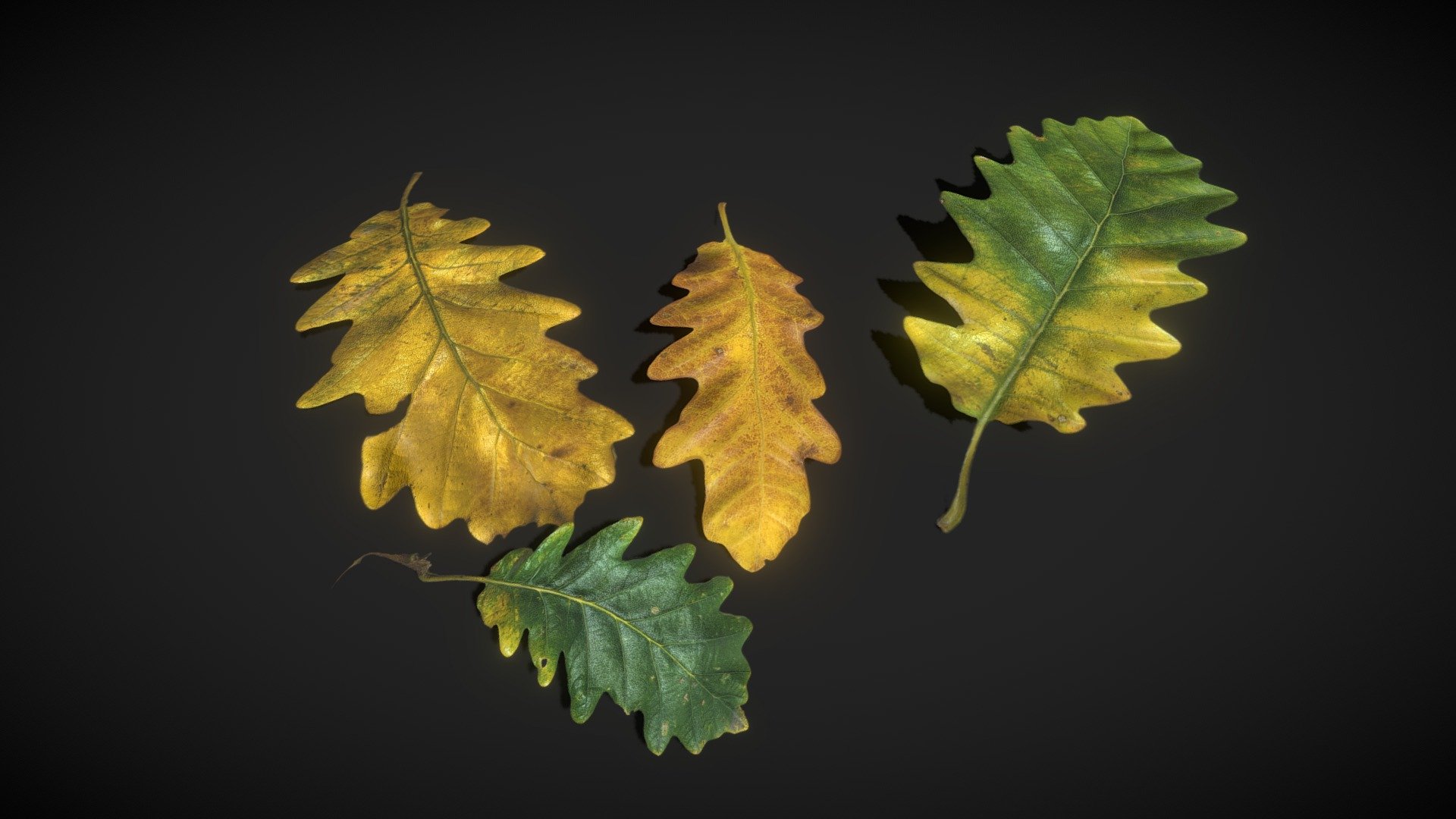 Oak Leaves - low poly - Buy Royalty Free 3D model by Karolina ...