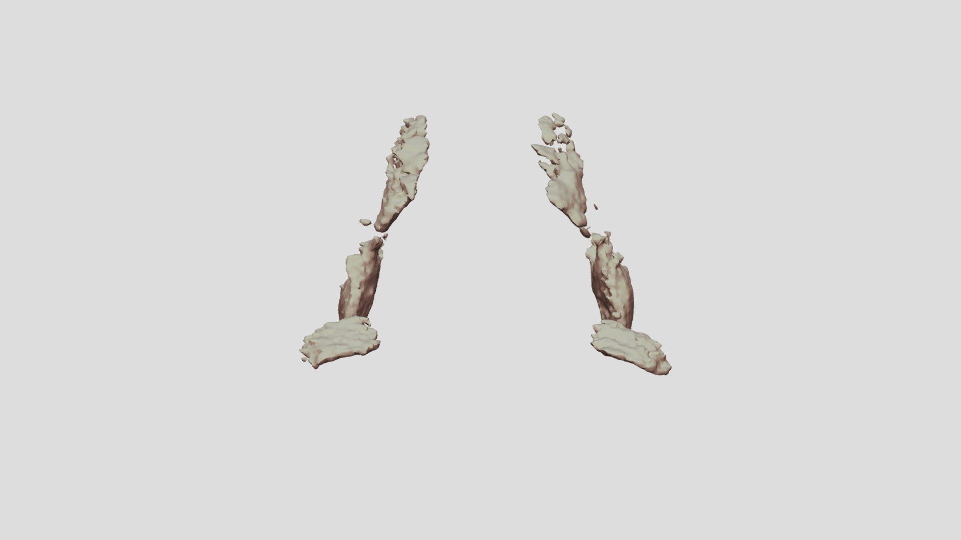 Skeleton of Xenopus laevis (NF stage 52) - 3D model by GigaScience ...