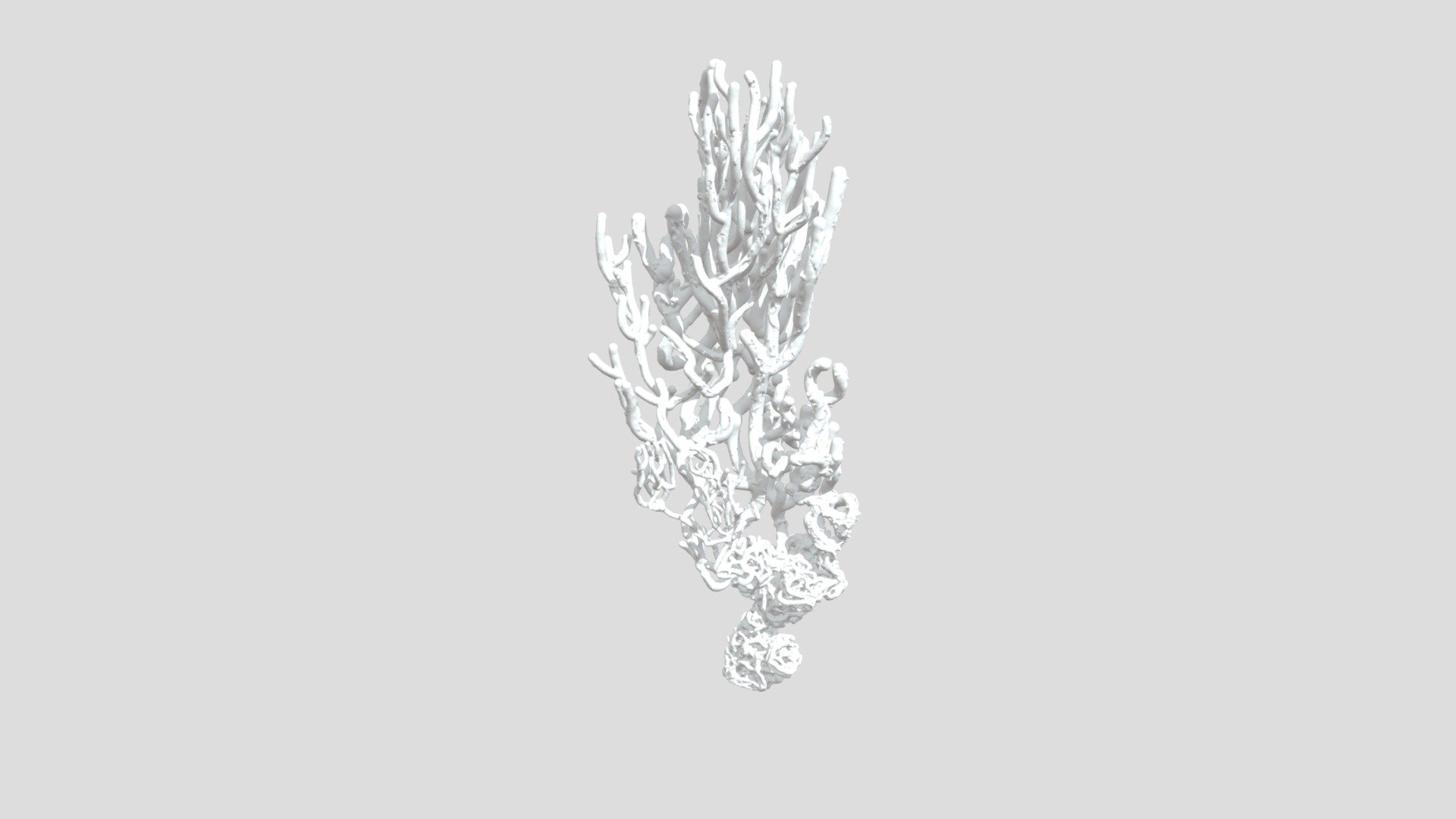 Coral - Download Free 3D model by modernoartist [4b9b48d] - Sketchfab