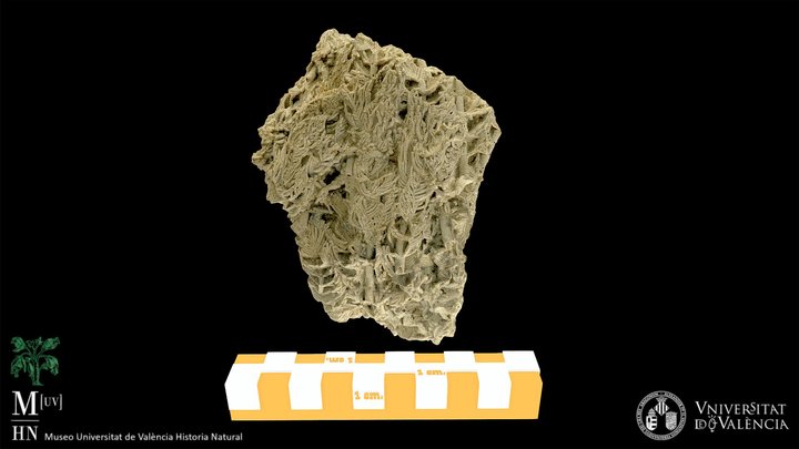 Sedimentary-structures 3D models - Sketchfab