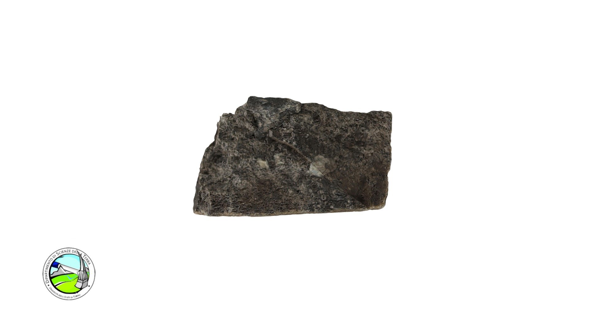 Encrinite - 3D model by Dipartimento di Scienze della Terra - UniTo ...