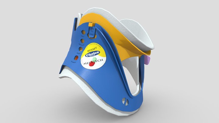 Cervical 3D models - Sketchfab