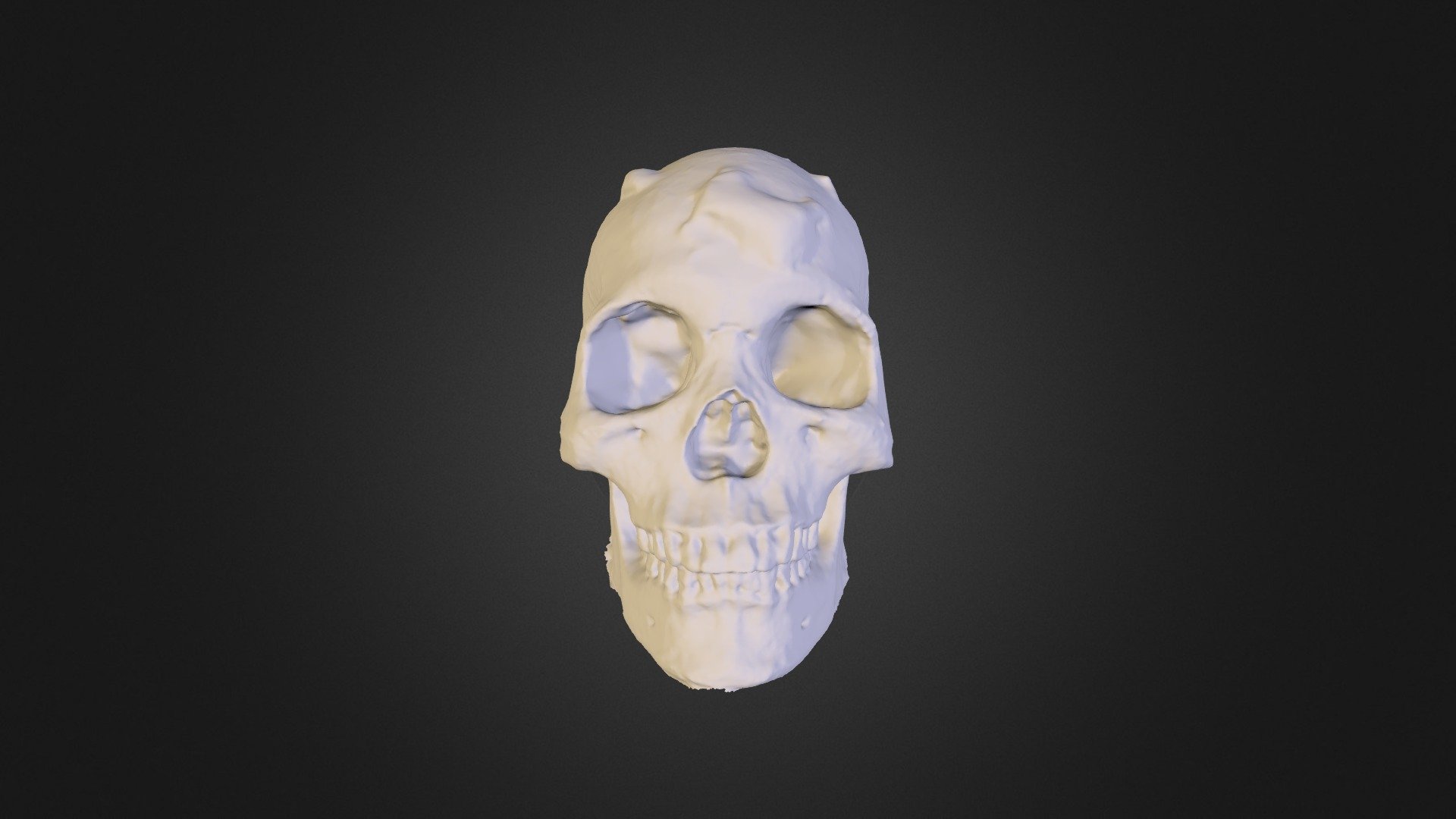 3d scull - 3D model by JonathanHilairet [4bb2b35] - Sketchfab