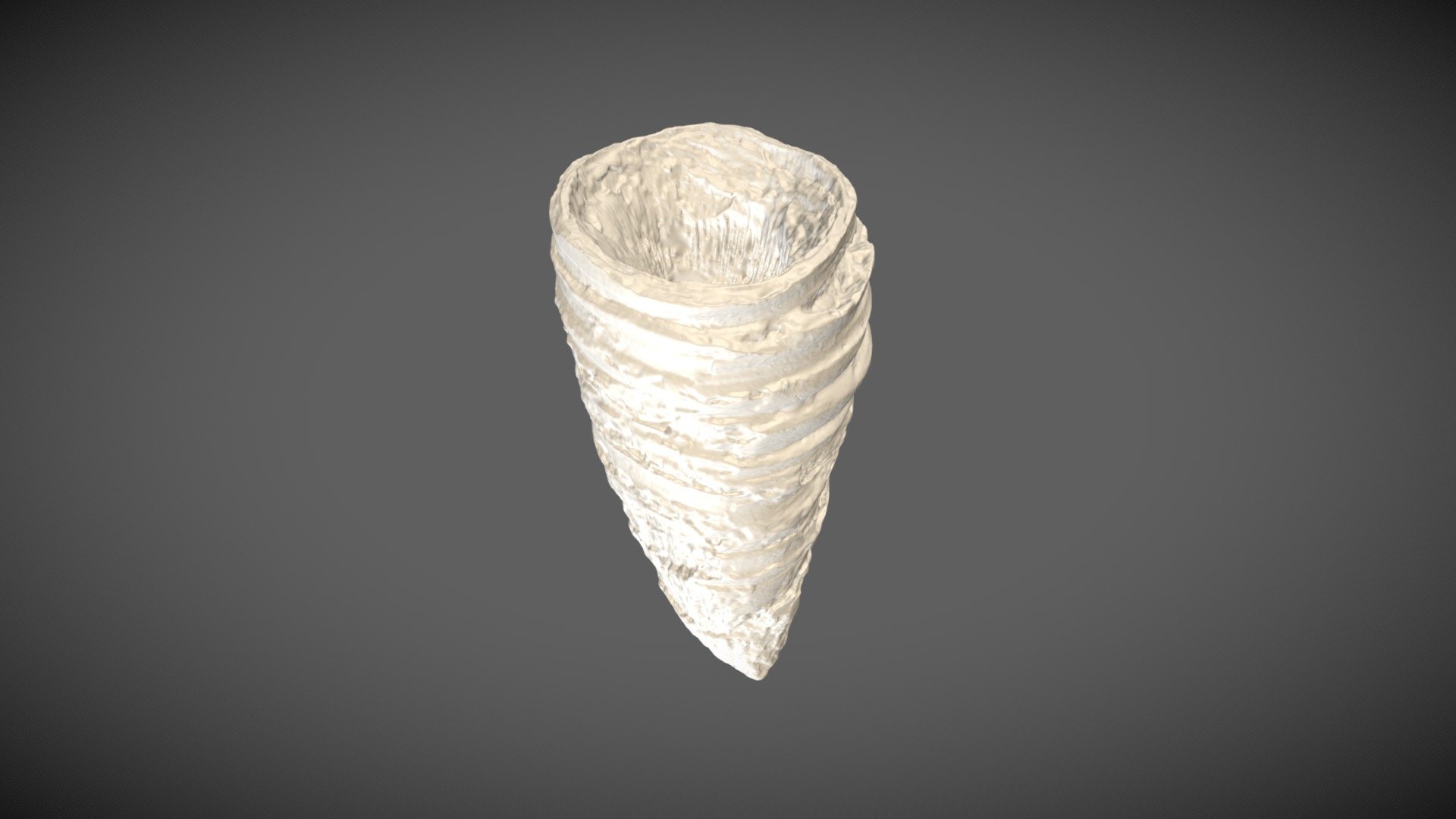 The large coral Siphonophyllia - Download Free 3D model by EDDyLab ...