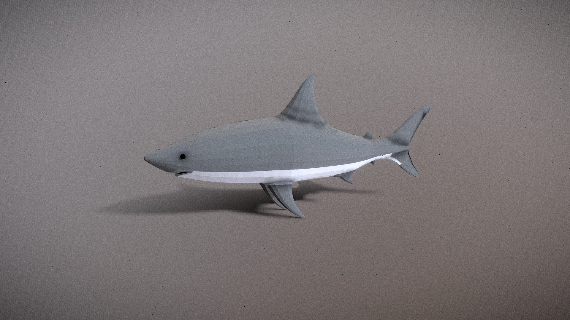 Lowpoly Shark - Download Free 3D model by AspectStudios (@AspectStudio ...