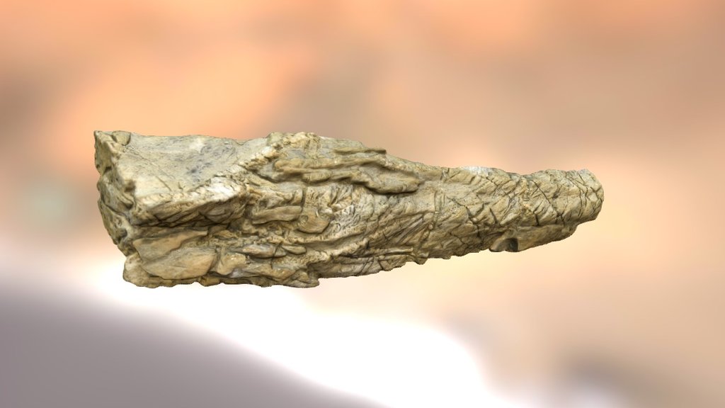 Stone Scepter - 3D model by Dailypolygon (@m.frei) [4bb4382] - Sketchfab