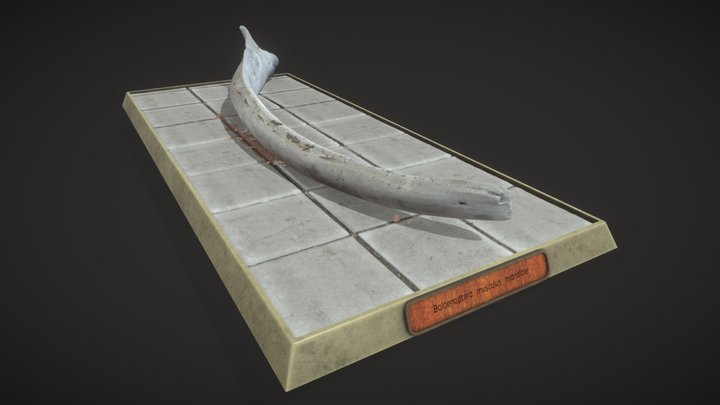 Mandible 3D models - Sketchfab