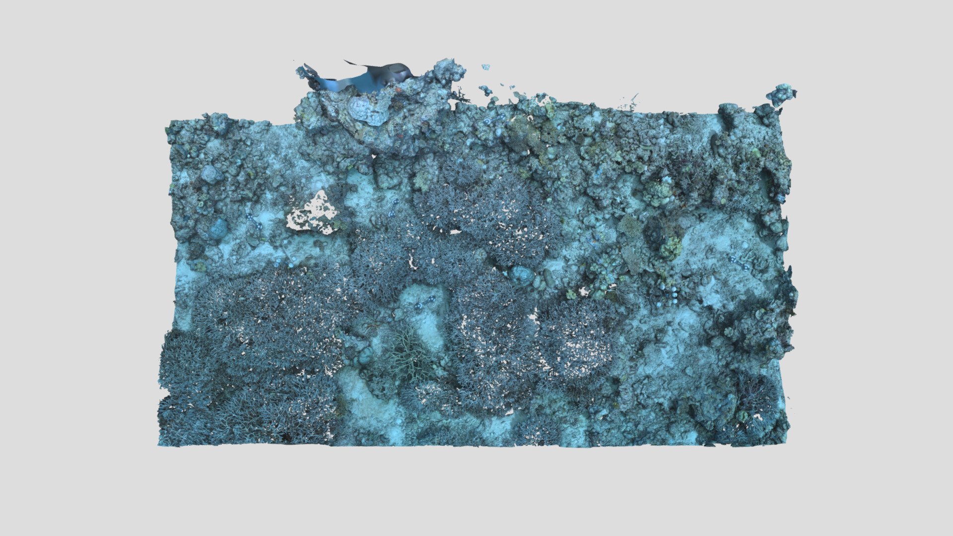 Davies_BA1D_P4_202201 - 3D model by EcoRRAP (@AIMSEcoRRAP) [4bb950c ...