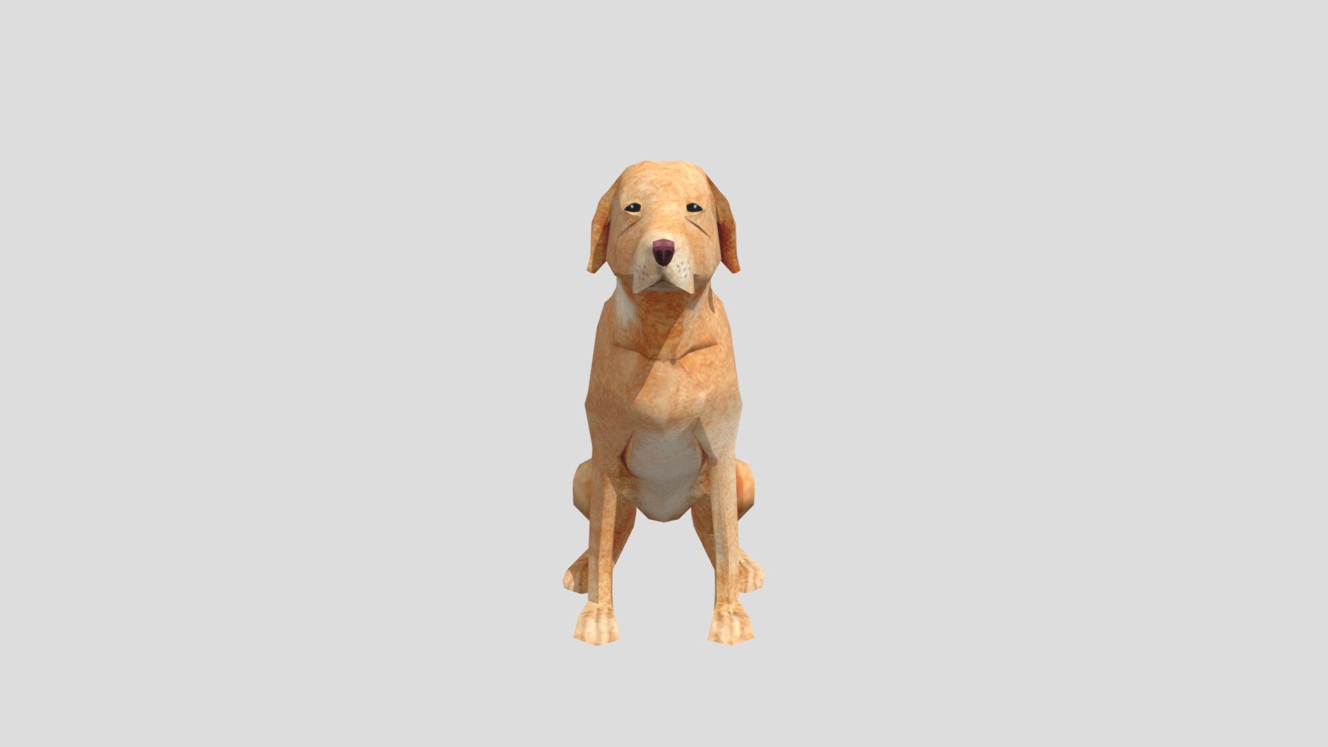 Dog - Download Free 3D model by 1-3D.com [4bbbf9a] - Sketchfab
