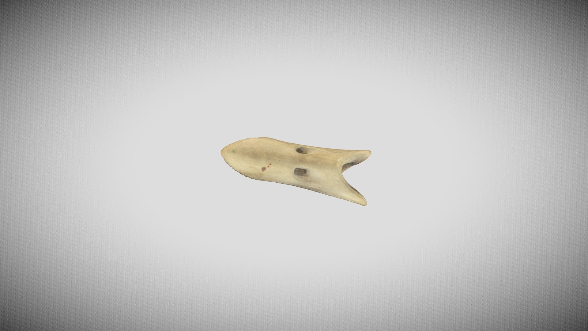 Bone Harpoon Head E023 - 3D model by Dr Alice Watterson ...