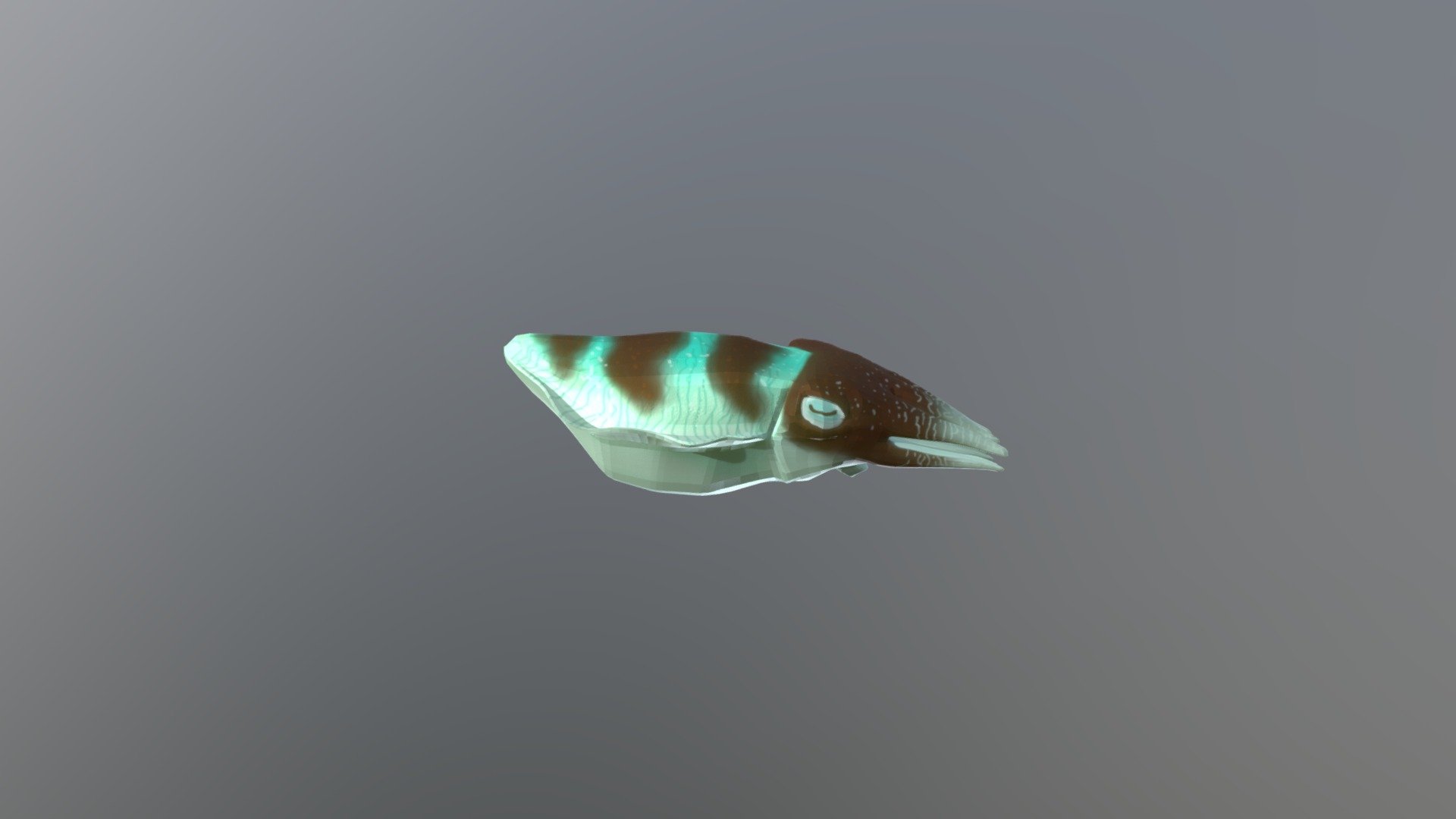 Chocolate mint cuttlefish - 3D model by dankleosteus [4bc4446] - Sketchfab