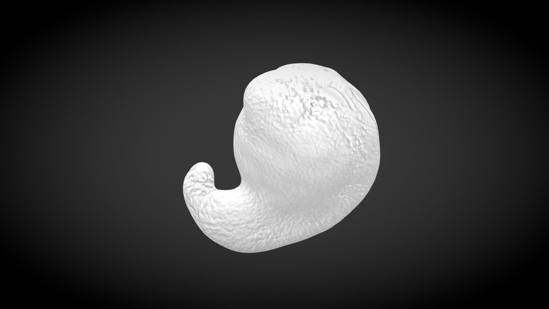 Zebrafish (21 somites) - Buy Royalty Free 3D model by JS Gauthier ...