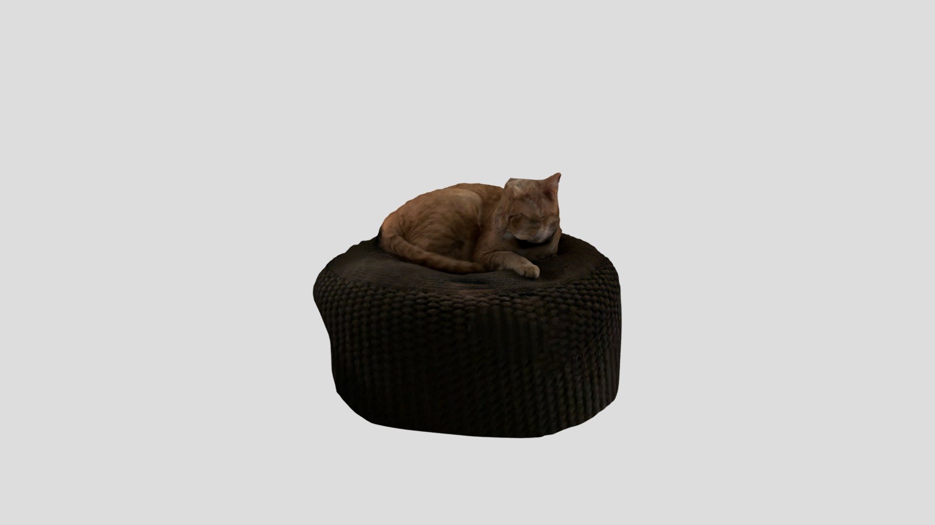 Cat - Download Free 3D model by DudeChill [4bc9885] - Sketchfab