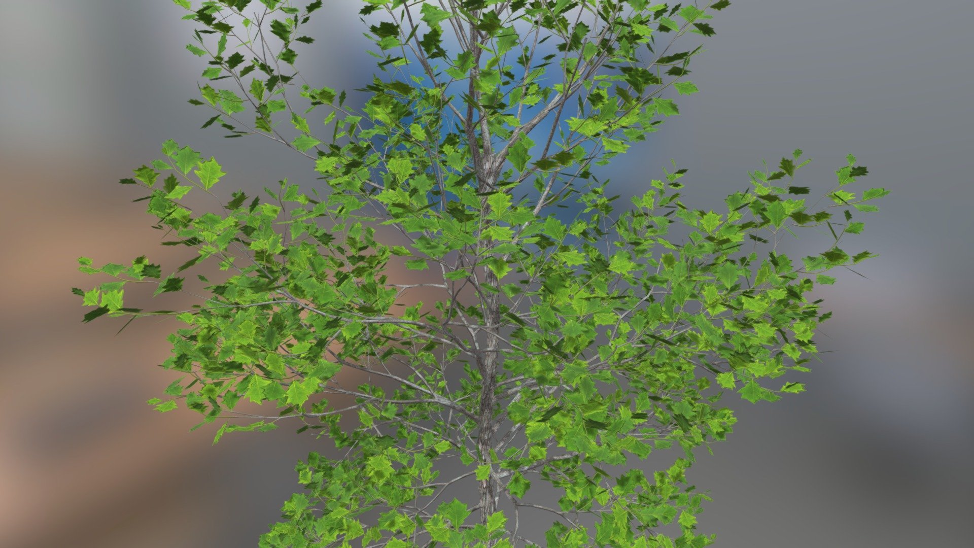 A type of leguminous plant - Buy Royalty Free 3D model by PATH DEFORM ...