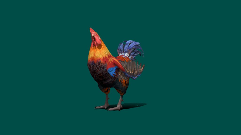 chicken - A 3D model collection by allmiro3d - Sketchfab