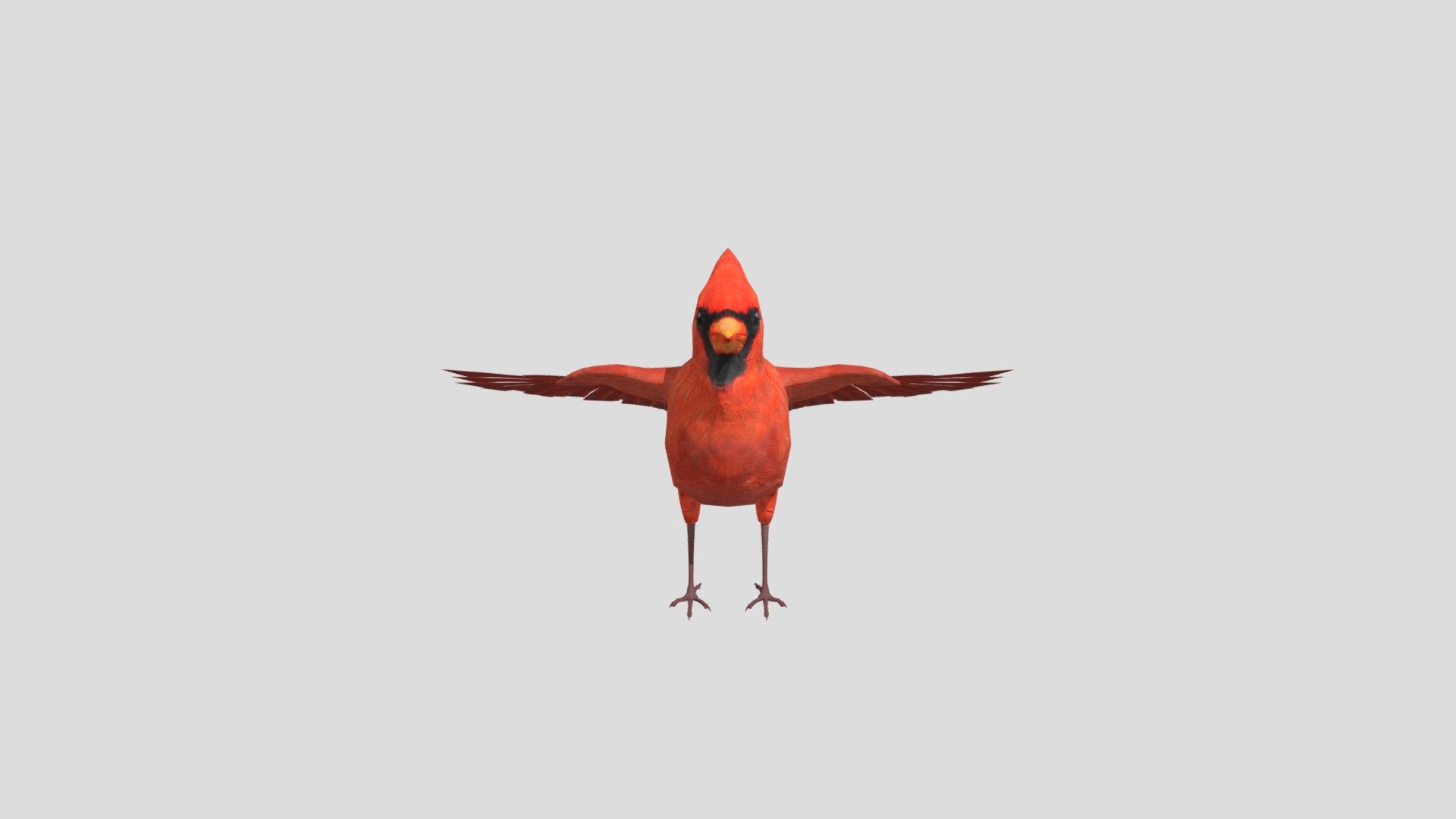 Cardinal - 3D model by SAVIA_Colombia (@Minambiente_Col) [4bdd383 ...