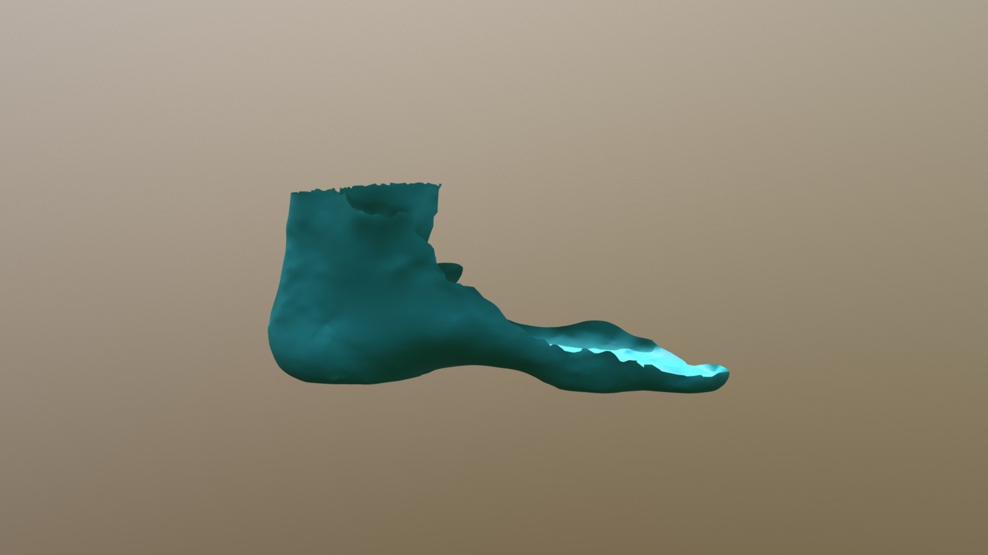 3D foot scann - 3D model by kurganskij.av [4be0767] - Sketchfab